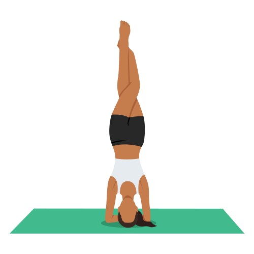 Woman doing unsupported shoulder stand pose yoga Vector Image