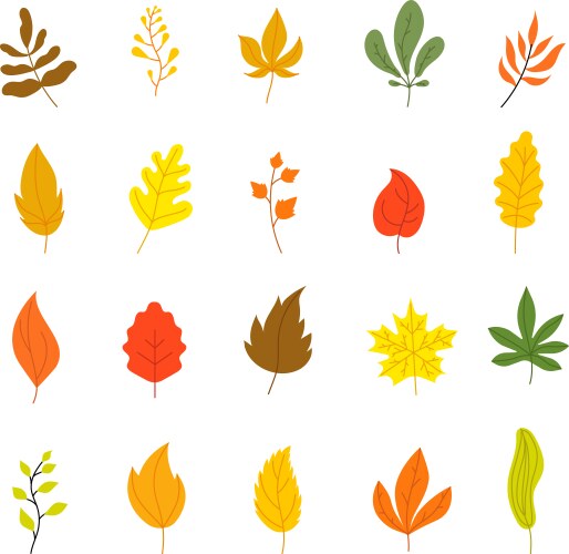 Autumn leaves realistic yellow and red fall leaf Vector Image