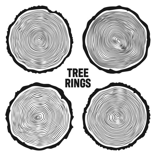 Pine Tree Vector Images (over 150,000)