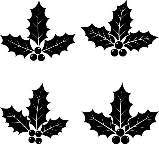 Holly sprig Vector Images & Graphics for Commercial Use | VectorStock