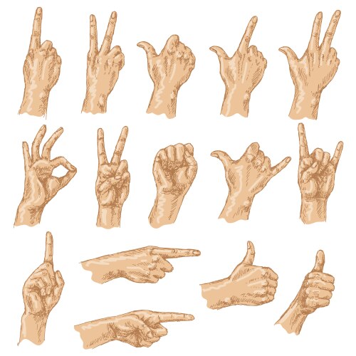 Set hands in different gestures hand signal Vector Image