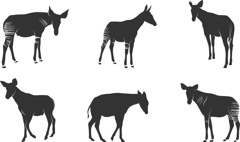 Okapi Vector Images (over 250)