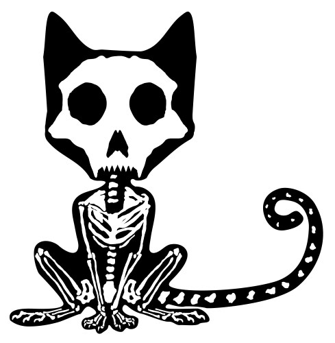 Cat skeleton veterinary Royalty Free Vector Image