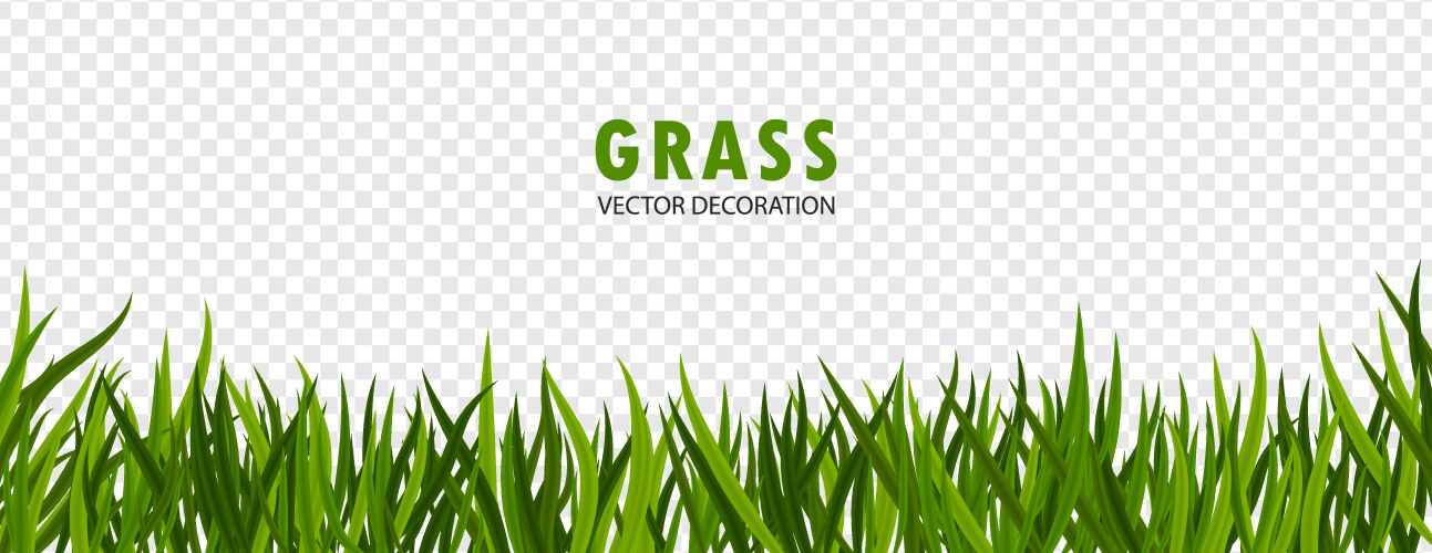 Grassland Cartoon Vector Images (over 3,000)