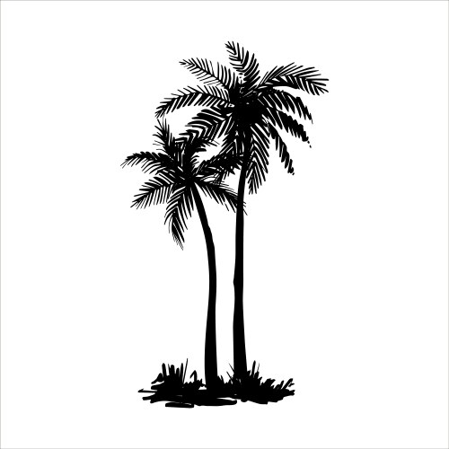 Tropical palm trees leaves foliage Royalty Free Vector Image