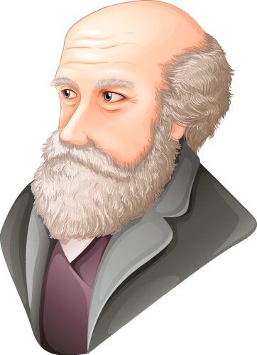 Hms beagle ship and map charles darwin Royalty Free Vector