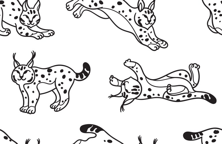 Wildcat Pattern Vector Images (over 1,400)