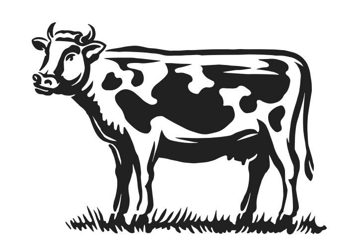 Cow Outline Vector Images (over 27,000)