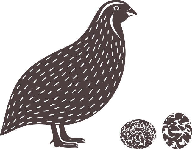 Quail Royalty Free Vector Image - VectorStock