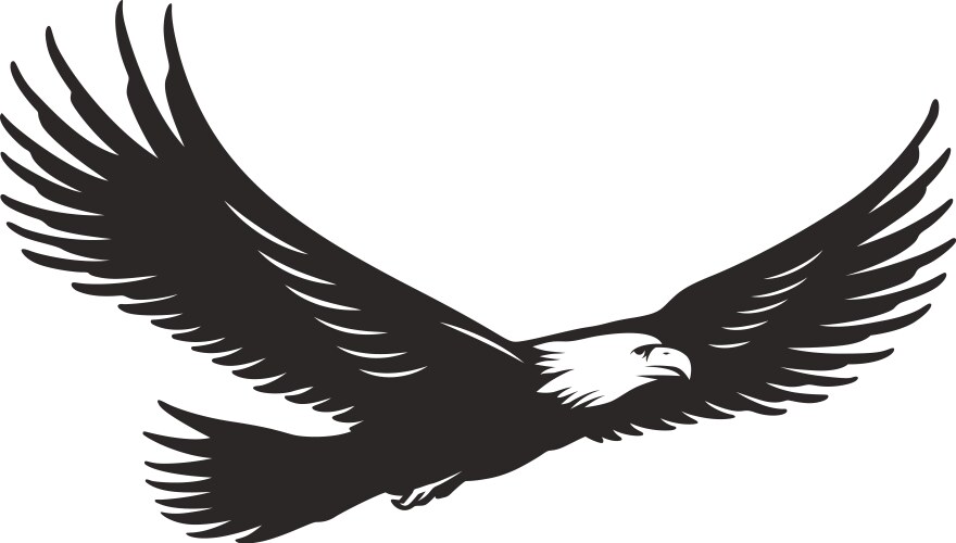 Flying Eagle Vector Images (over 45,000)