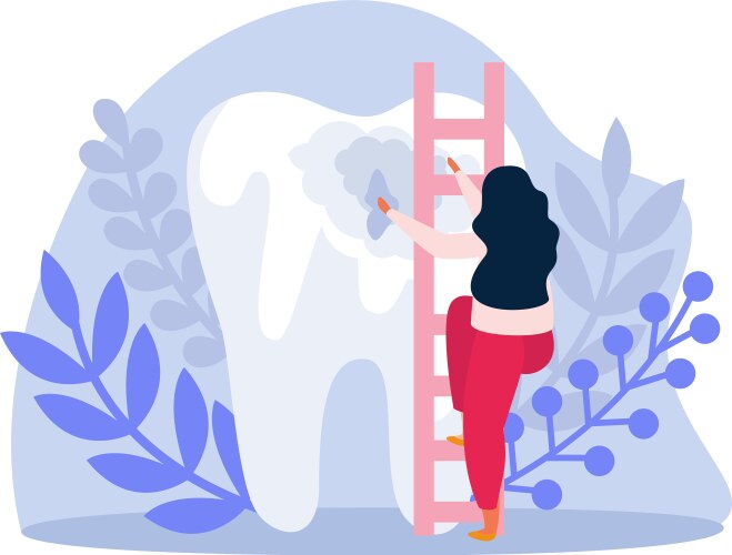 Deciduous tooth Royalty Free Vector Image - VectorStock