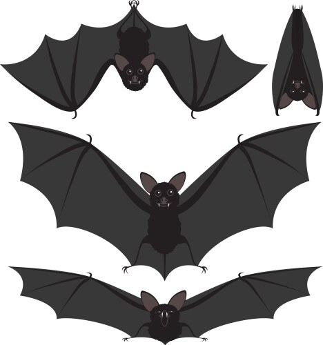Bat Vector Images (over 150,000)