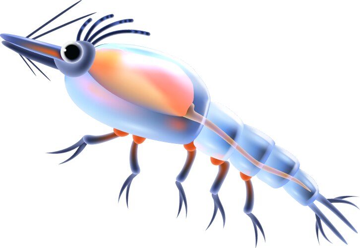 Zooplankton Vector Images (over 430)