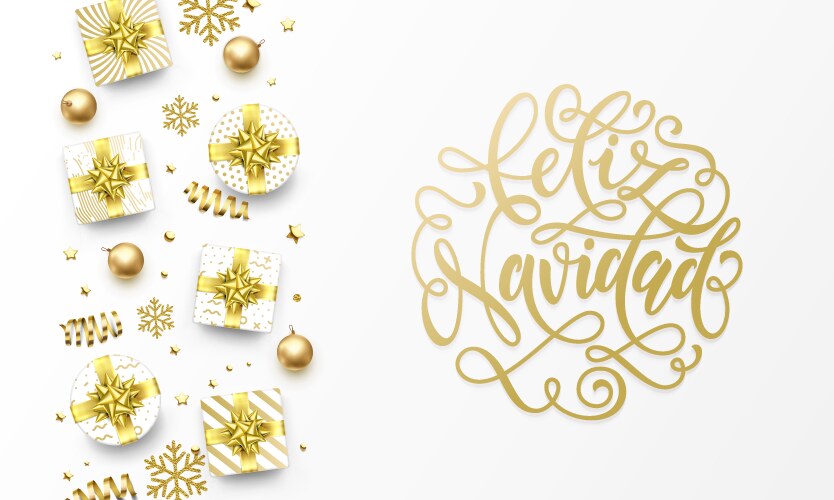 Christmas holiday decoration gold and silver Vector Image