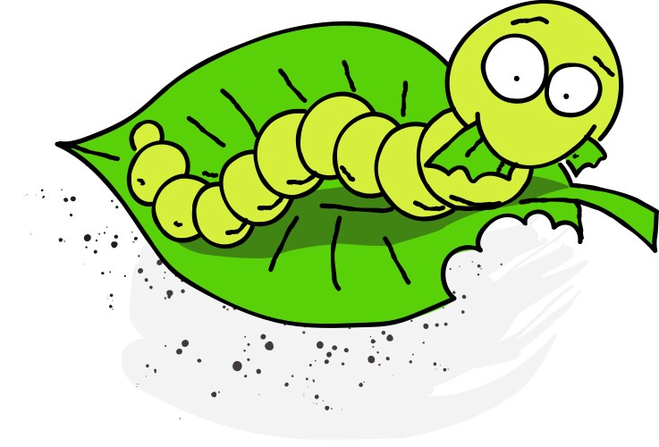 Caterpillar insect cartoon Royalty Free Vector Image