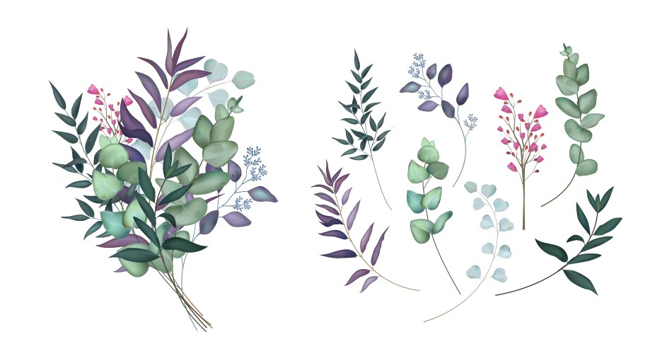 Eucalyptus Vector Images (over 19,000)