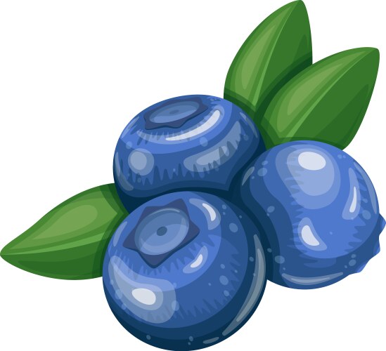 Blueberry Vector Images (over 27,000)