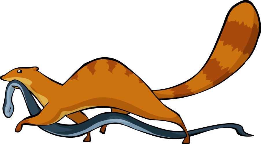 Mongoose Vector Images (over 720)