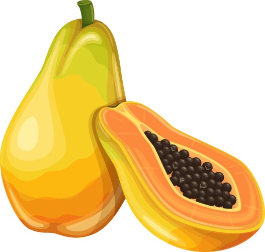 Fruit Vector Images (over 810,000)