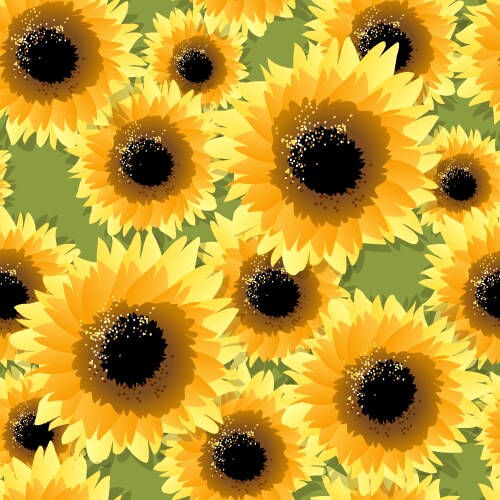 Sunflowers Vector Images (over 47,000)