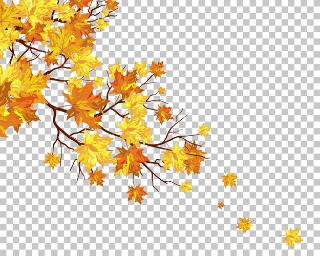 Fall Vector Images (over 520,000)