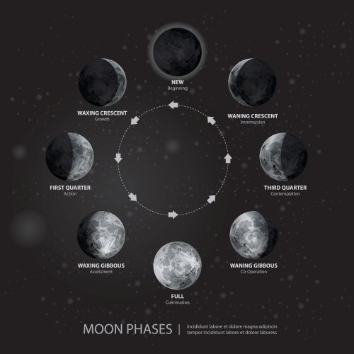 Moon phases realistic Royalty Free Vector Image