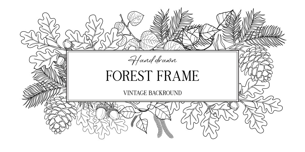 Hand drawn botanical frame with sunflowers Vector Image
