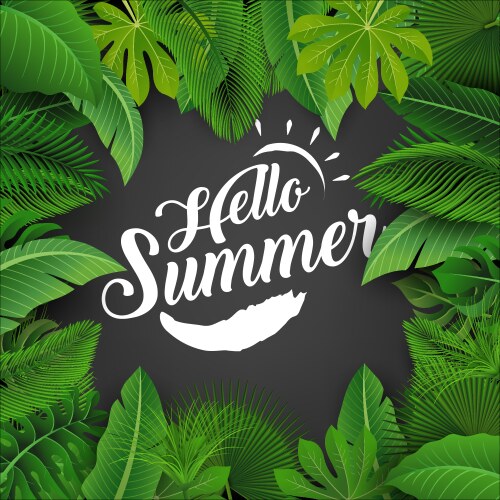 Hello summer sign with tropical leaves Royalty Free Vector