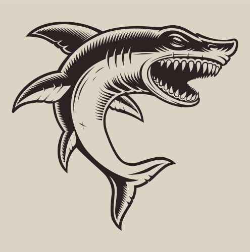 Shark Vector Images (over 31,000)