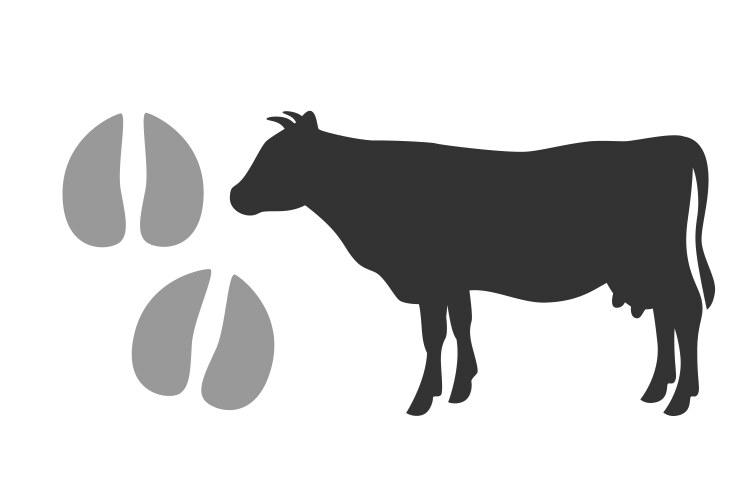 Cow footprints Vector Images & Graphics for Commercial Use | VectorStock