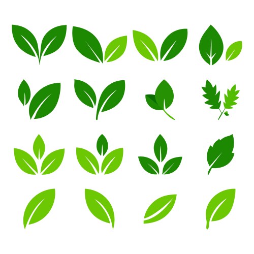 Green leaf icons collection Royalty Free Vector Image