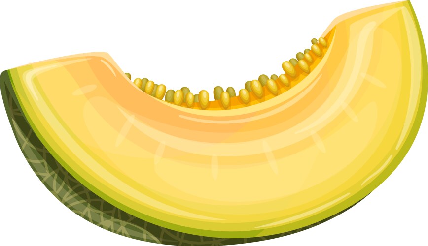 GMO Melon Cartoon Character Royalty Free Vector Image