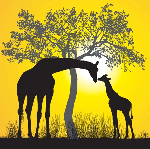 Giraffe sunset Royalty Free Vector Image - VectorStock