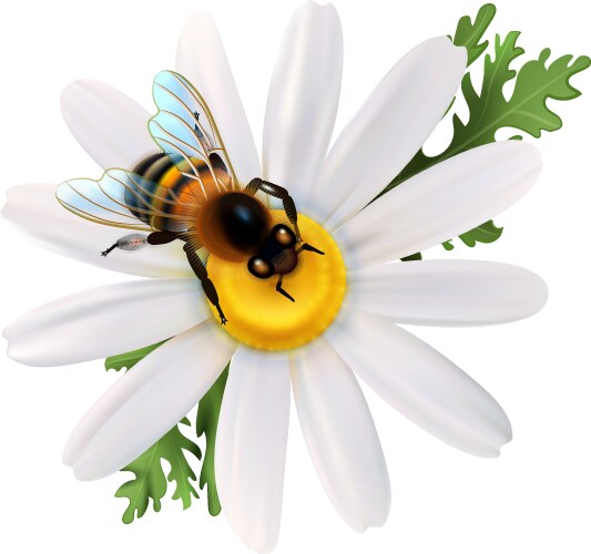 Bee Clipart Vector Images (over 4,100)