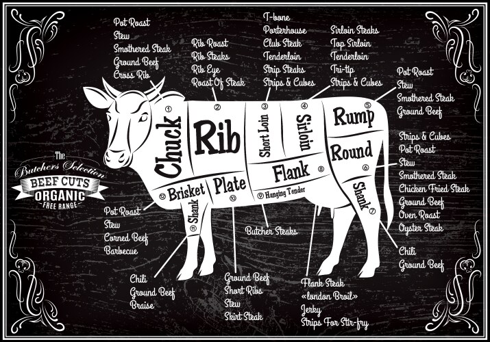 Poster with detailed diagram cutting cows Vector Image