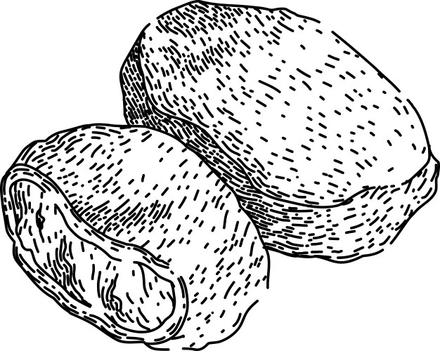 Chicken Strips Vector Images (over 710)