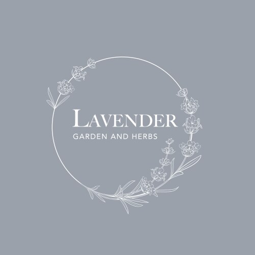 Lavender flower logo floral design label Vector Image