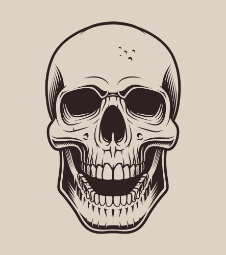 Skull Vector Images (over 220,000)