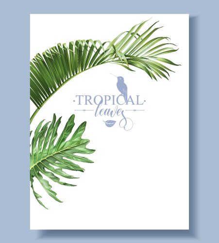 Palm leaves and frame Royalty Free Vector Image