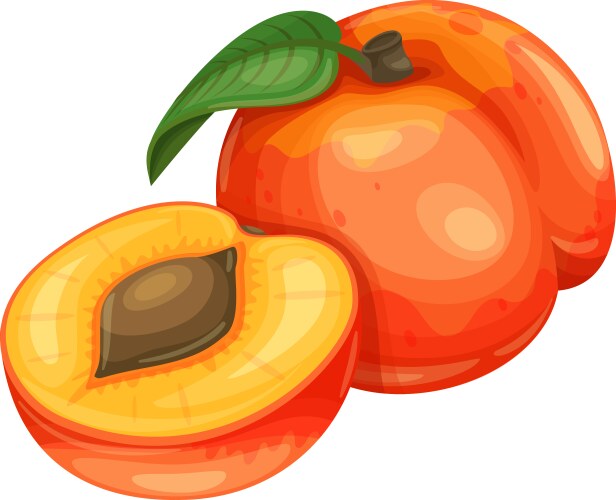 Peach Vector Images (over 39,000)