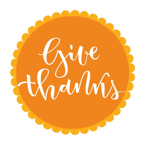 Give thanks letters in squares with traditional Vector Image
