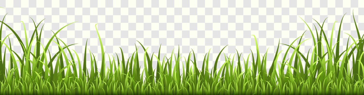 Spring grass seamless border floral Royalty Free Vector
