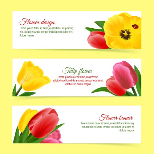 8 march spring banner with pink tulips Royalty Free Vector