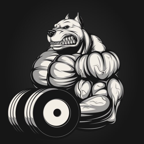 Strong ferocious dog Royalty Free Vector Image