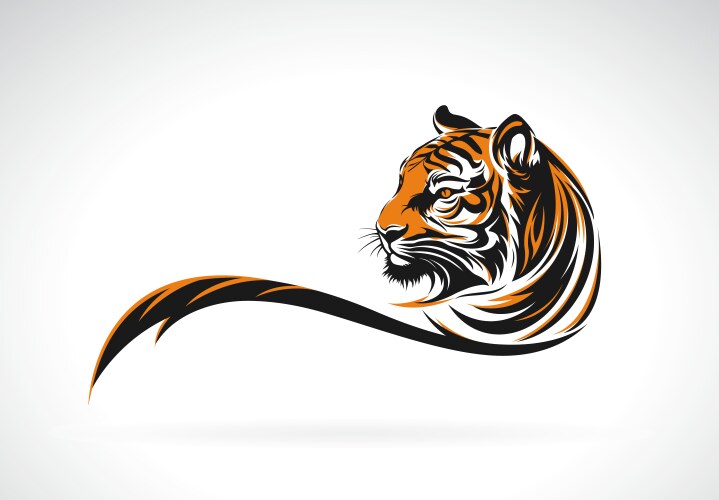 Black tiger design on white background wild Vector Image