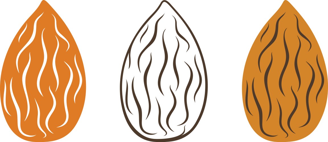 Almond Nut Vector Images (over 11,000)
