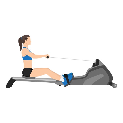 Rowing Machine Vector Images (over 1,200)