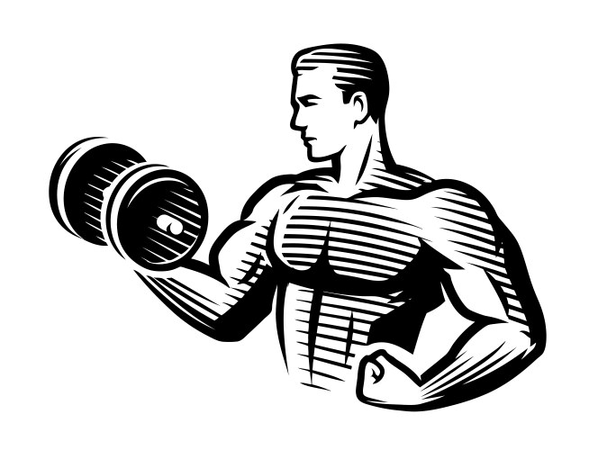 Hand drawing of muscle bodybuilder Royalty Free Vector Image