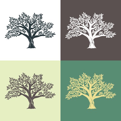 Argan Tree Vector Images (over 370)