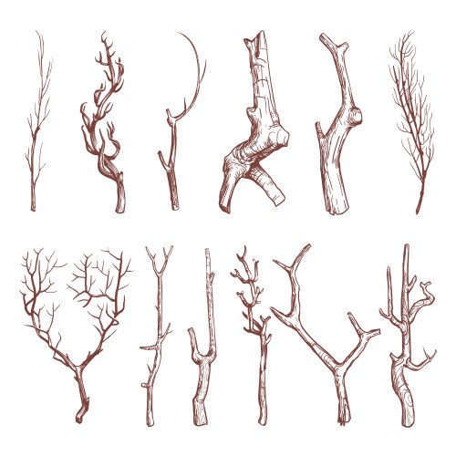 Broken Tree Vector Images (over 2,600)